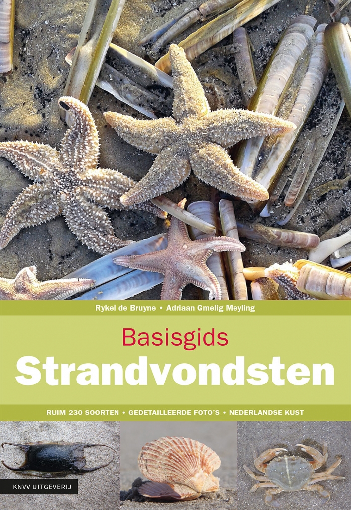 Basisgids Strandvondsten - 150 soorten schelpen en andere weekdieren ...