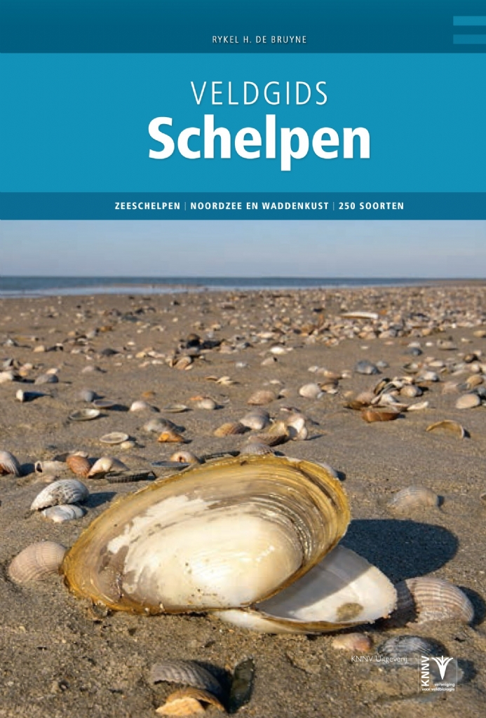 Veldgids Schelpen - zeeschelpen, noordzee, 250 soorten | 2019 ...